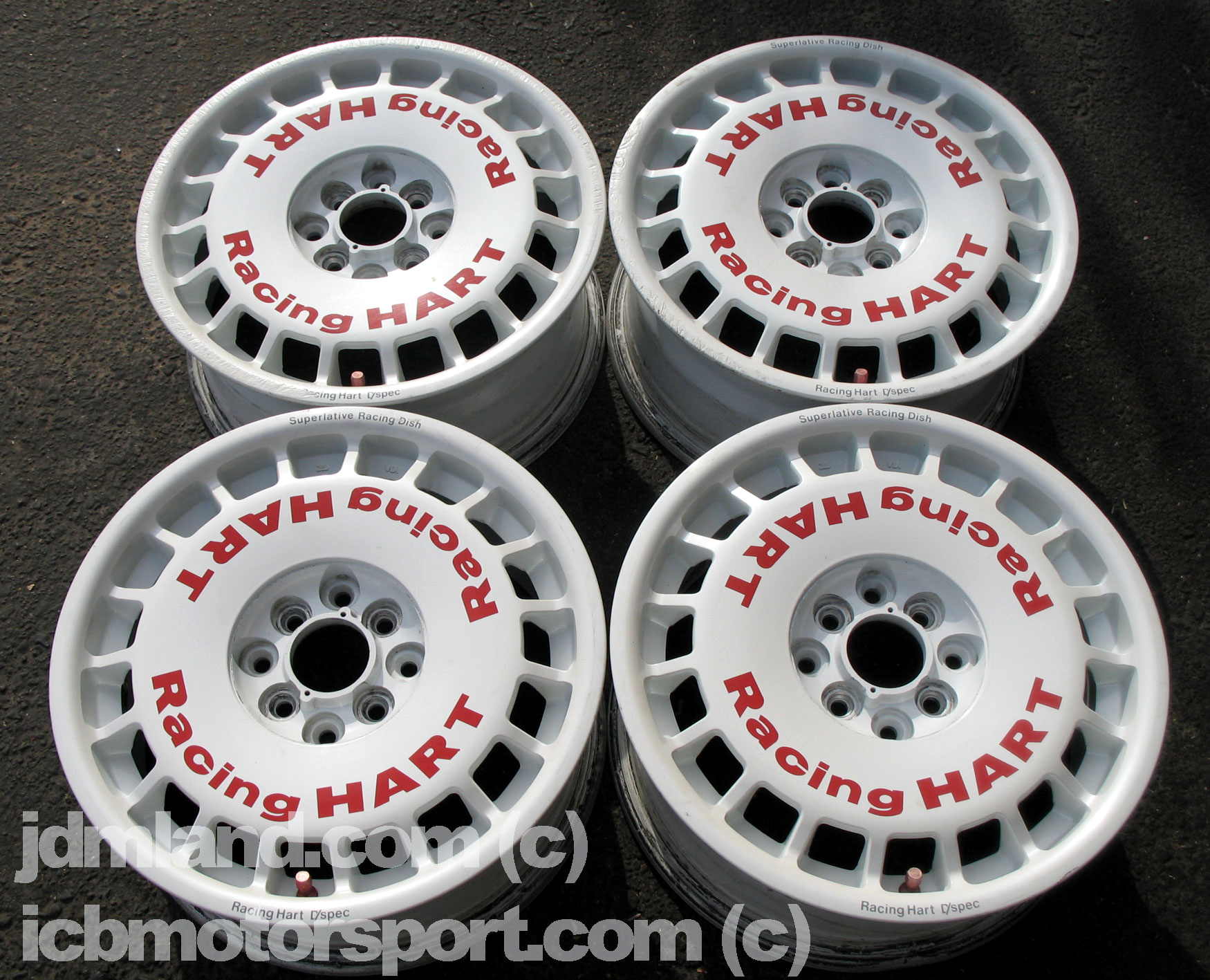 Racing Hart 15" D Spec Superlative Racing Dish with Decals - SOLD!